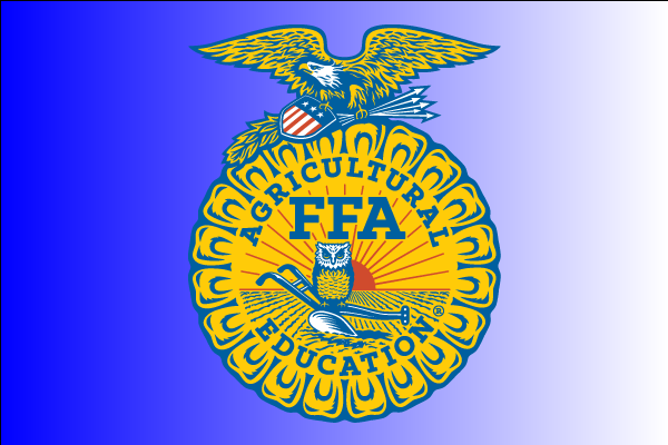 Ffa Emblem Transparent
